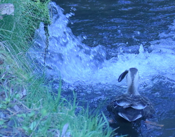 bbbbbbbbbbbbbbbbbbbbbbbbbbb bbbbbbbbbbbbbbbbbbbbbbbbb