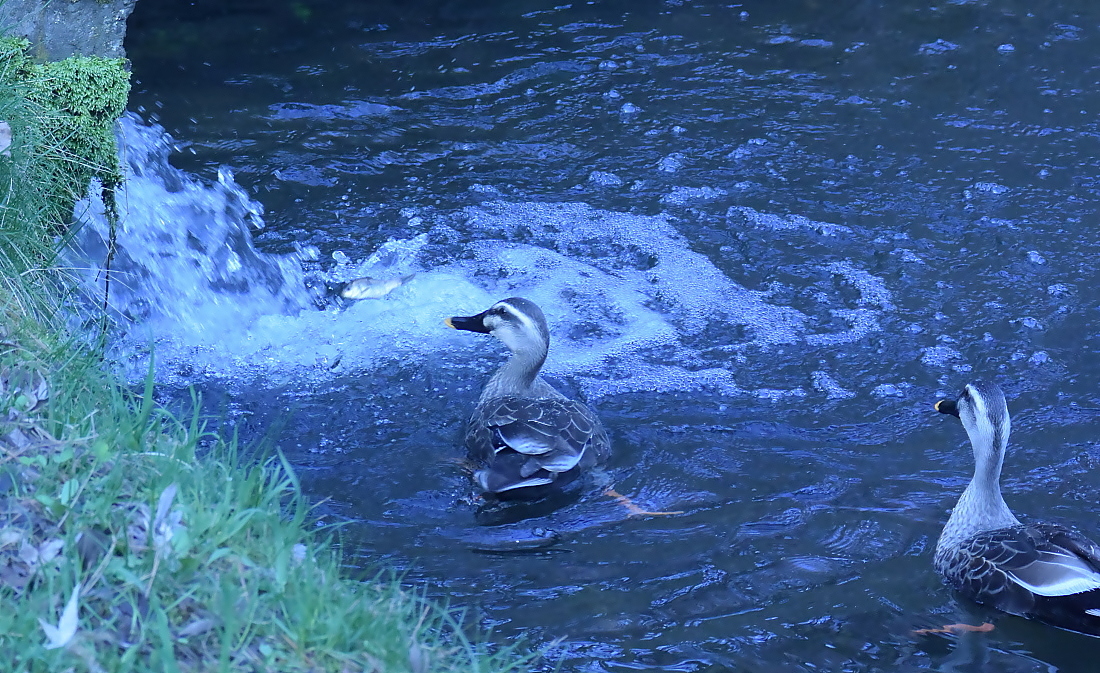 bbbbbbbbbbbbbbbbbbbbbbbbbbb bbbbbbbbbbbbbbbbbbbbbbbbb