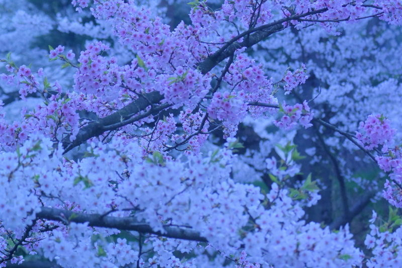 bbbbbbbbbbbbbbbbbbbbbbbbbbb bbbbbbbbbbbbbbbbbbbbbbbbb