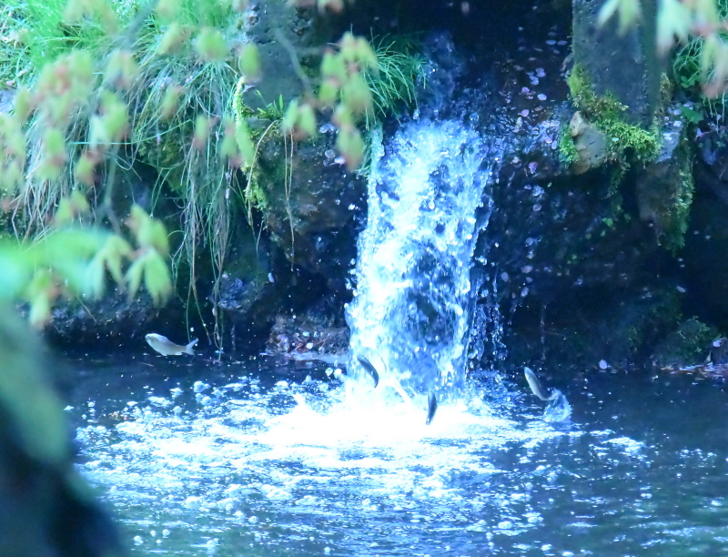 bbbbbbbbbbbbbbbbbbbbbbbbbbb bbbbbbbbbbbbbbbbbbbbbbbbb